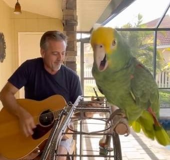 A dad begins singing "Rocket Man," but a hilarious parrot quickly takes ...